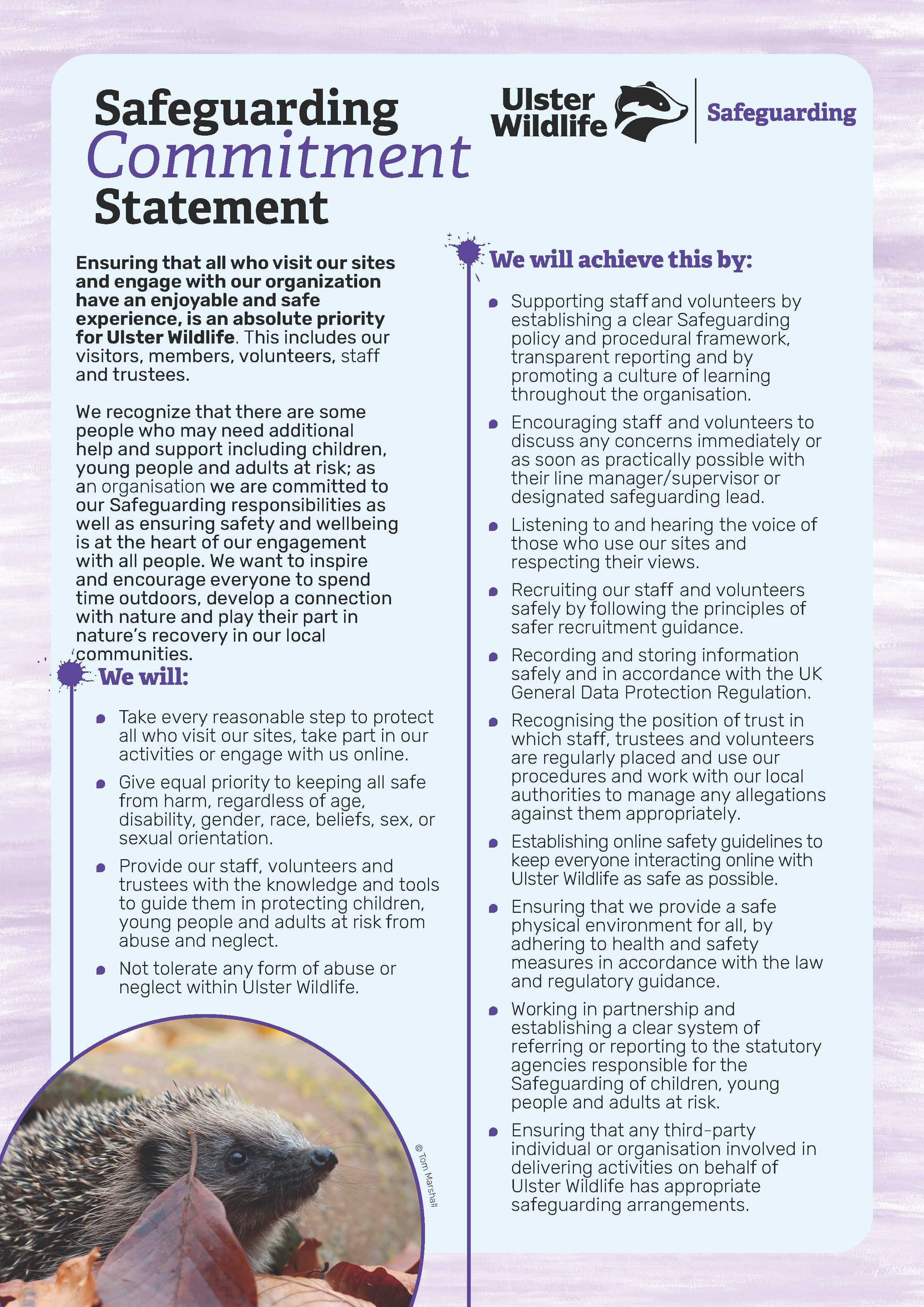 Safeguarding Statement | Ulster Wildlife